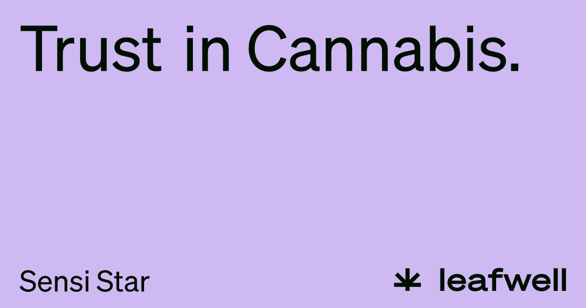 Sensi Star Marijuana Strain